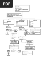 Algoritmo Ictericia Neonatal | PDF | Enfermedades y trastornos | Medicina CLINICA