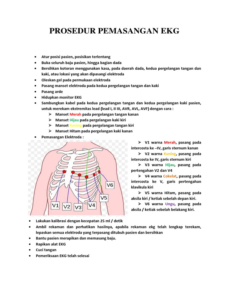 MENGENAL PROSEDUR PEMASANGAN ELEKTRODA PADA PEMERIKSAAN EKG | PDF