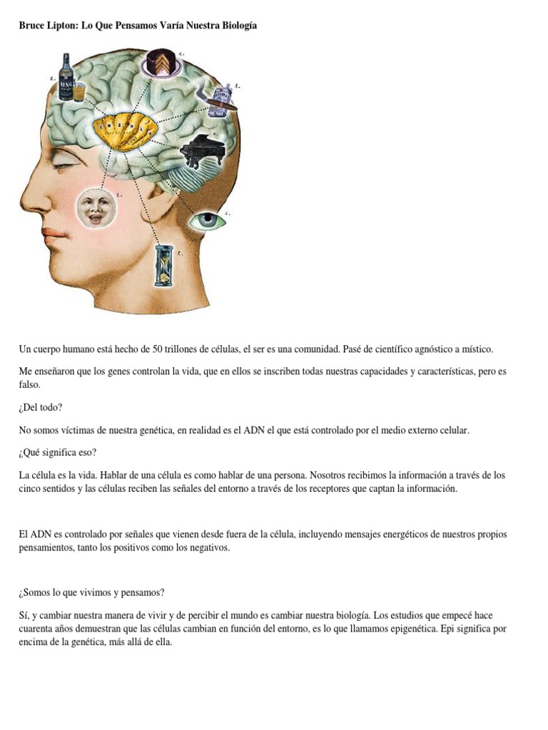 Bruce Lipton | PDF | Vida | Biología