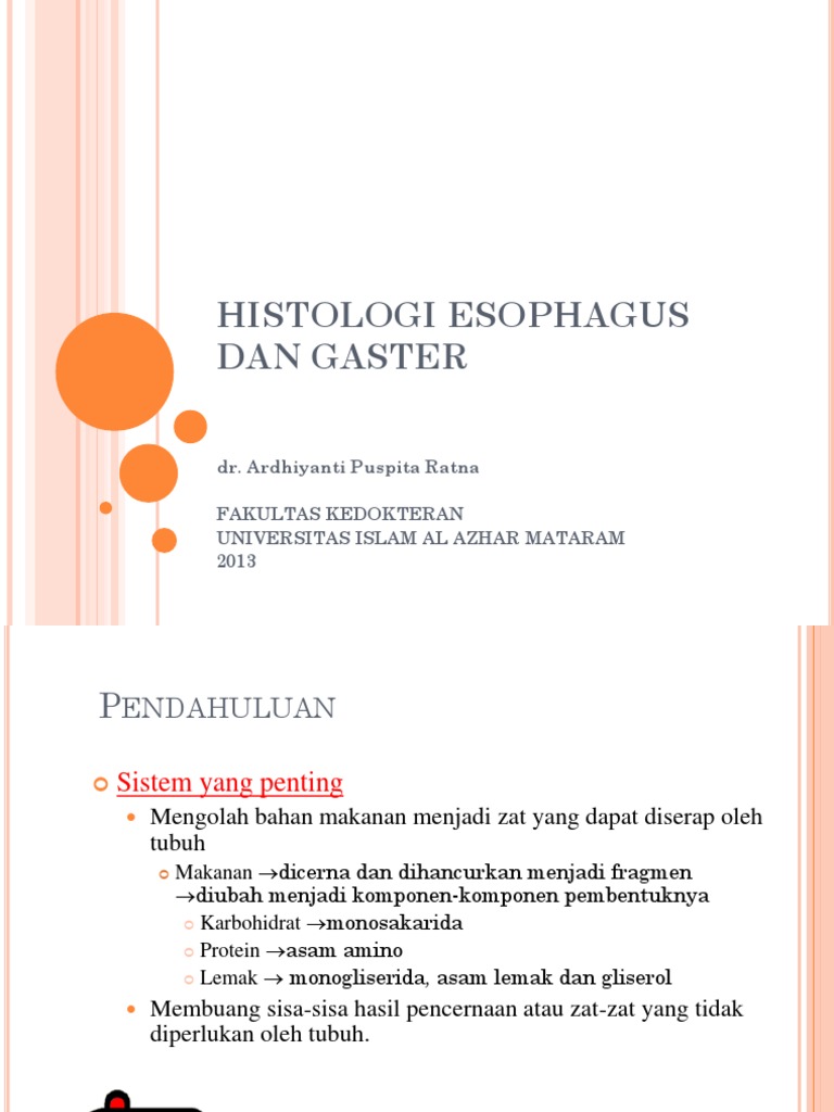 Histologi Esophagus Dan Gaster | PDF