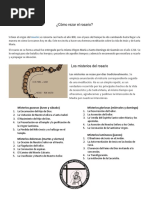 Partes Del Rosario | PDF | Rosario | Adoración Cristiana Y Liturgia