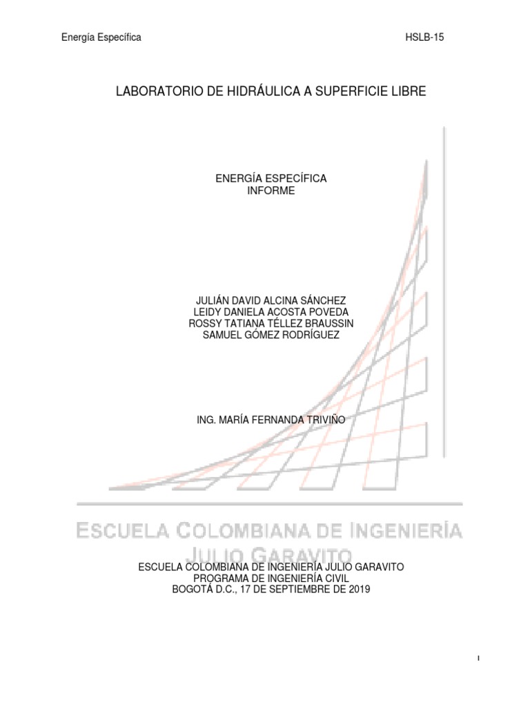 Energía Específica | PDF | Laboratorios | Descarga (hidrología)
