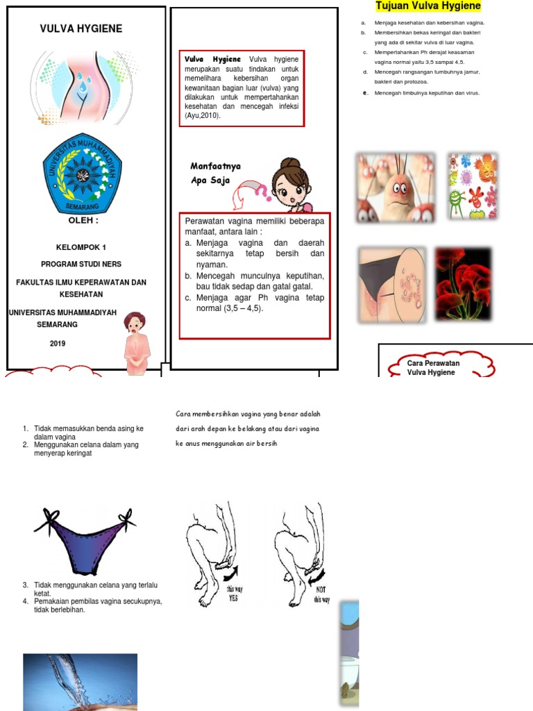 LEAFLET Vulva Hygiene | PDF