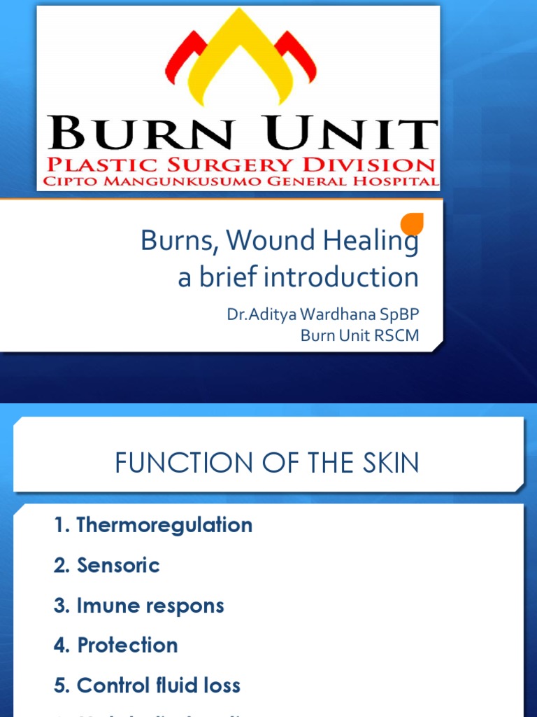 Burn Wound Healing Jan 2013 | PDF | Burn | Wound