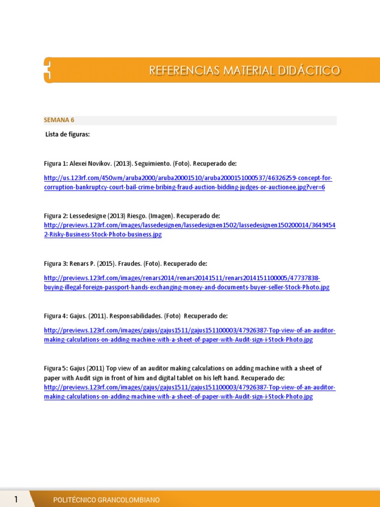 Figuras y Referencias de Auditoría | PDF | Computers