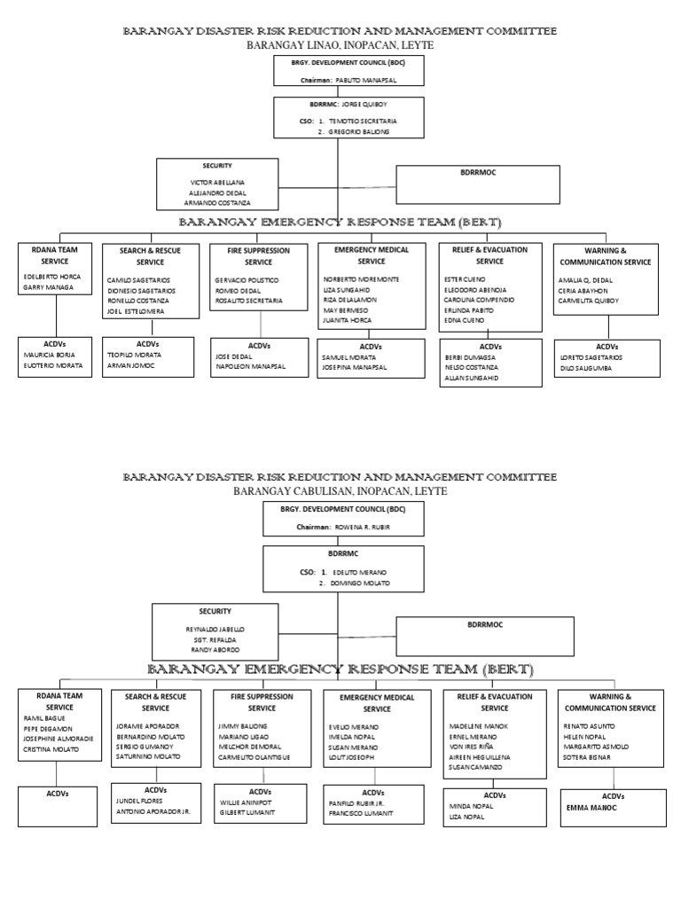 Barangay Disaster Risk Reduction and Management Committee | PDF ...