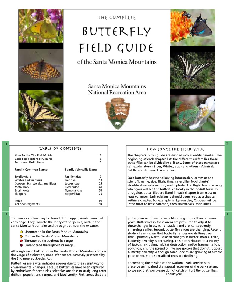 Butterfly Field Guide 2 I Small | PDF | Butterfly | Biodiversity