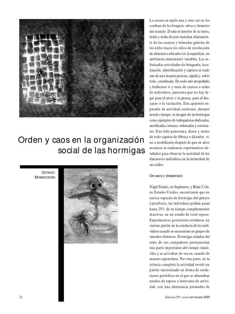 Orden y Caos en La Organización Social de Las Hormigas | PDF ...