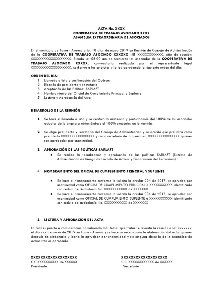Modelo Acta de Nombramiento | PDF | Gobierno