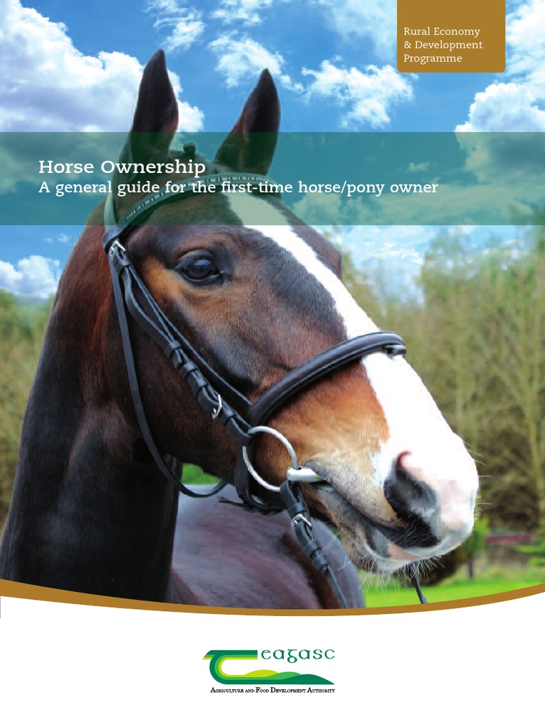 Horse Ownership: A General Guide For The First-Time Horse/pony Owner ...