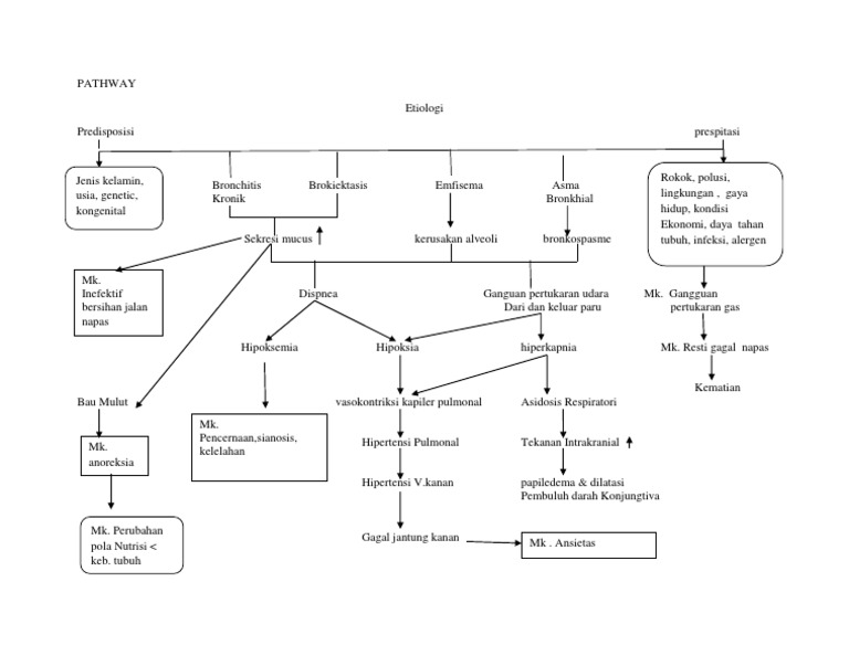 Pathway Ppom (Penyakit Paru Obstruksi Menahun) | PDF