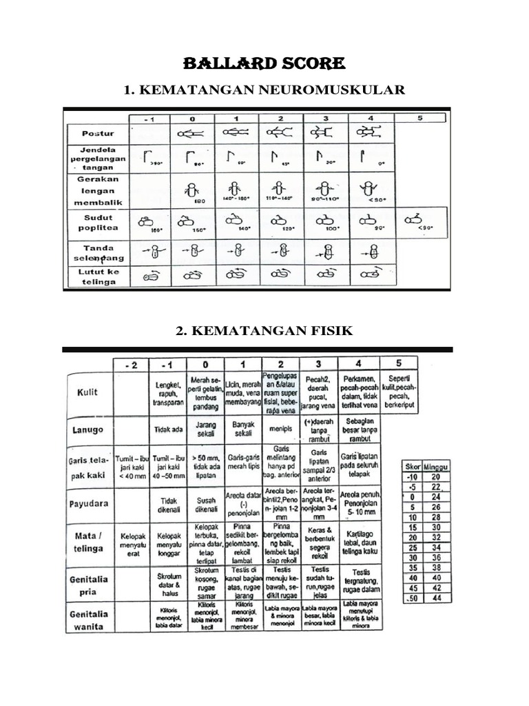 Ballard Score: 1. Kematangan Neuromuskular | PDF