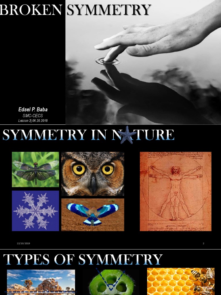 Broken Symmetry | PDF
