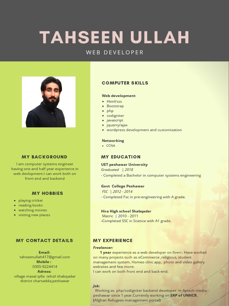 Tehseen Profile | PDF | Web Development | Software Development