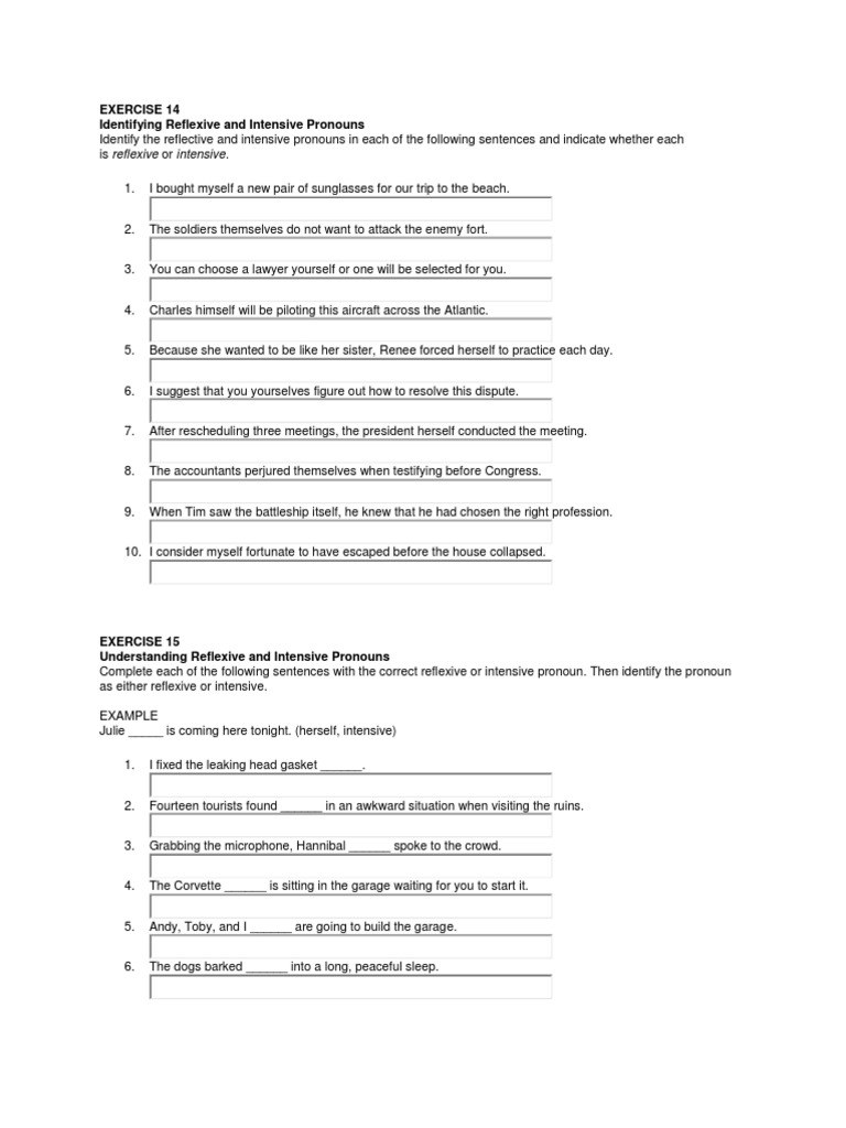 Exercise 14 Identifying Reflexive and Intensive Pronouns | PDF
