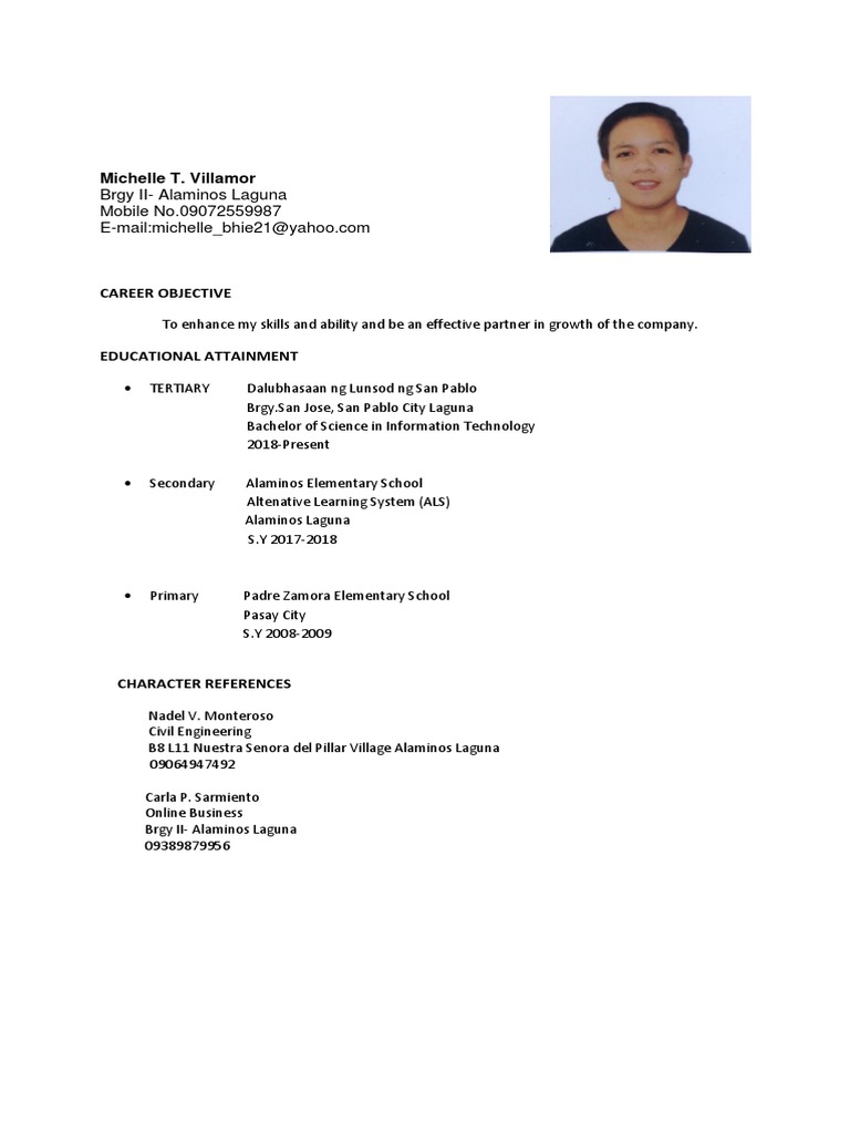 Michelle Villamor Resume Overview | PDF
