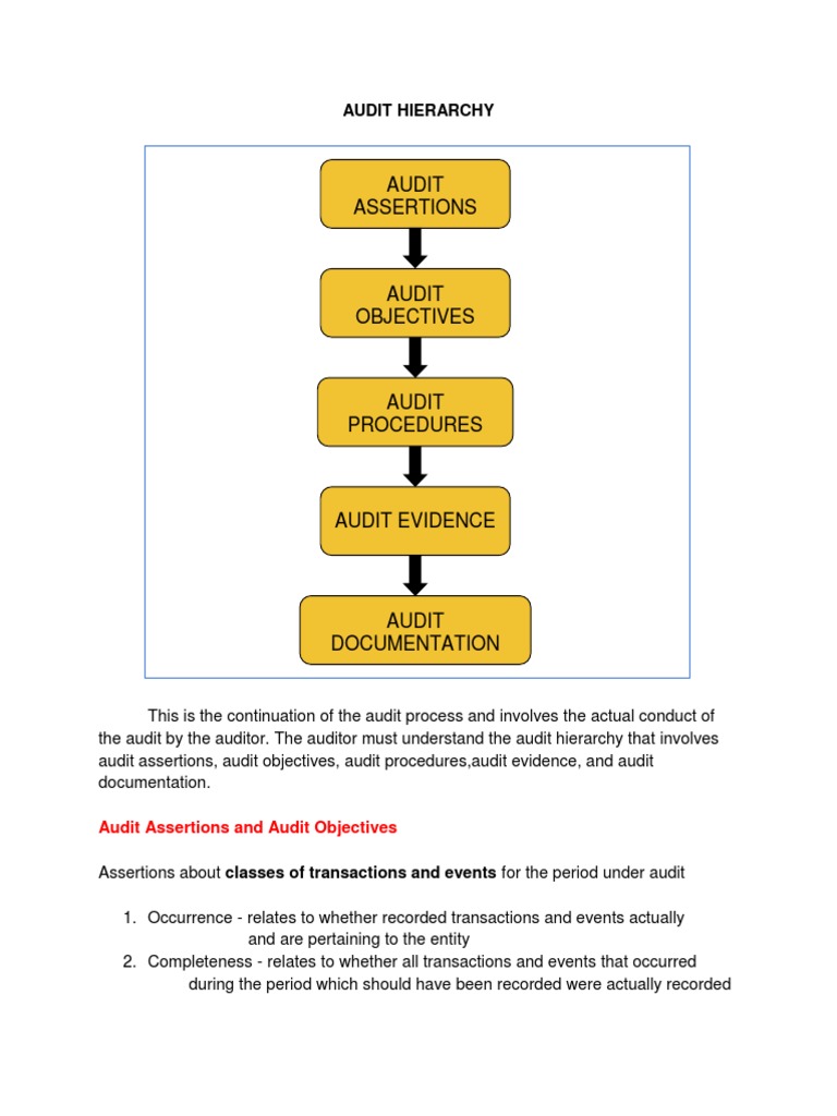 Audit Assertions | Internal Control | Audit