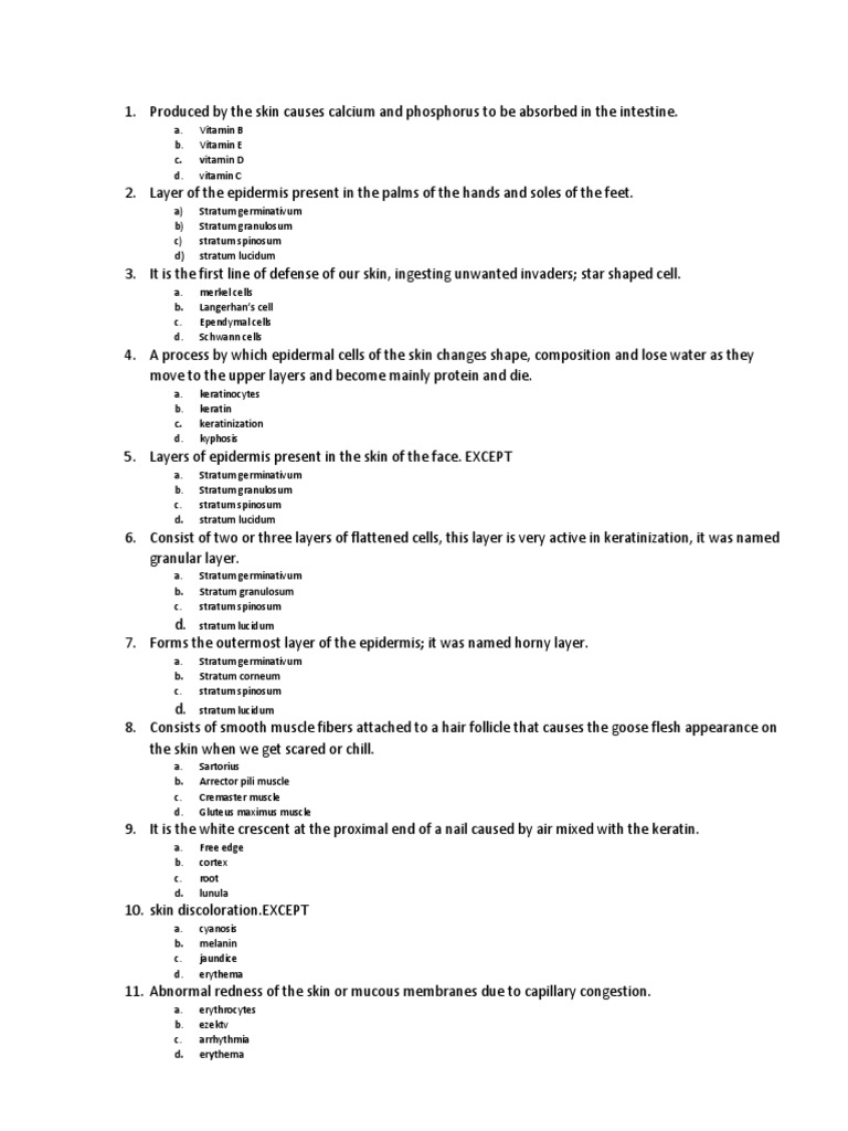 Anatomy Midterm Answer Key | PDF | Lung | Epidermis