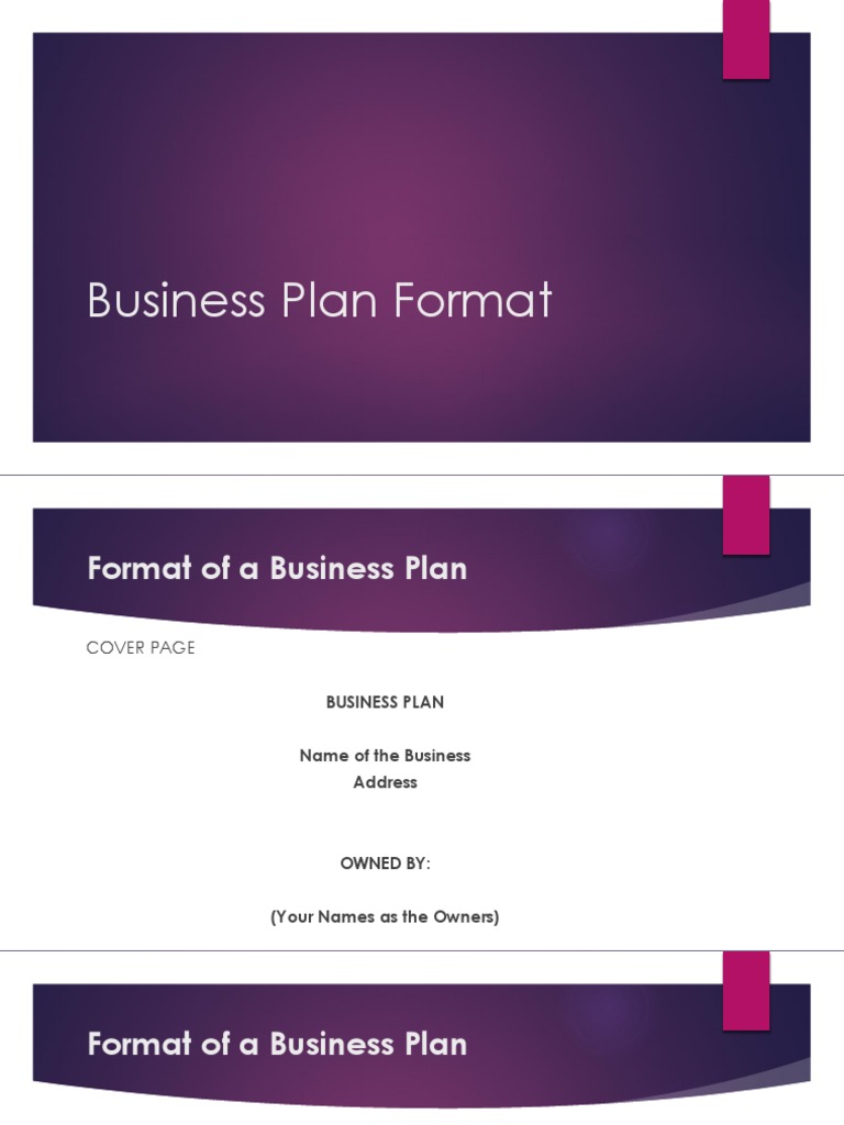 Business Plan Format | PDF | Business Plan | Balance Sheet