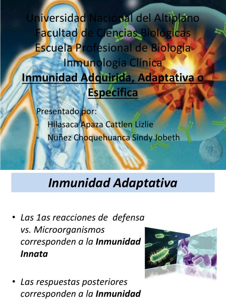 Inmunidad Adaptativa: Características y Funciones | PDF | Sistema ...