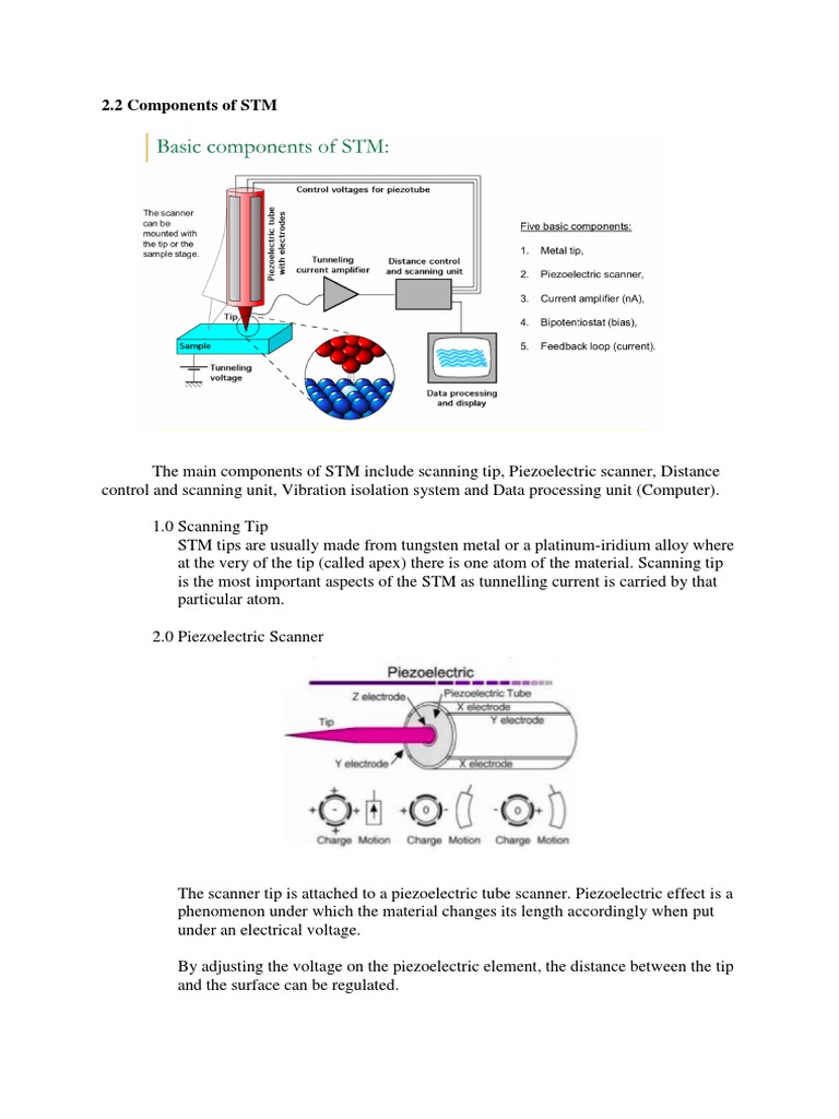 Components of STM | PDF | Scanning Tunneling Microscope | Scientific ...