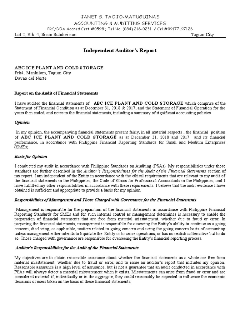 Sample Audit Report 2018 | PDF | Going Concern | Internal Control