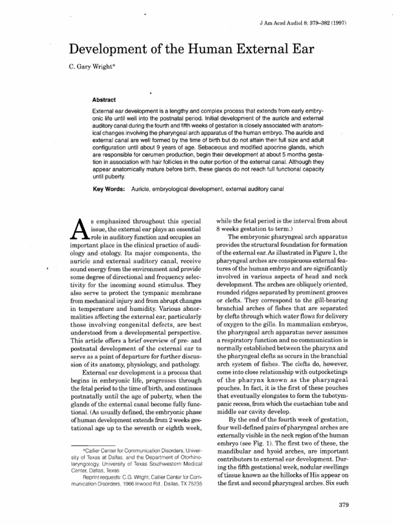 Human External Ear Development Overview | PDF | Ear | Gill