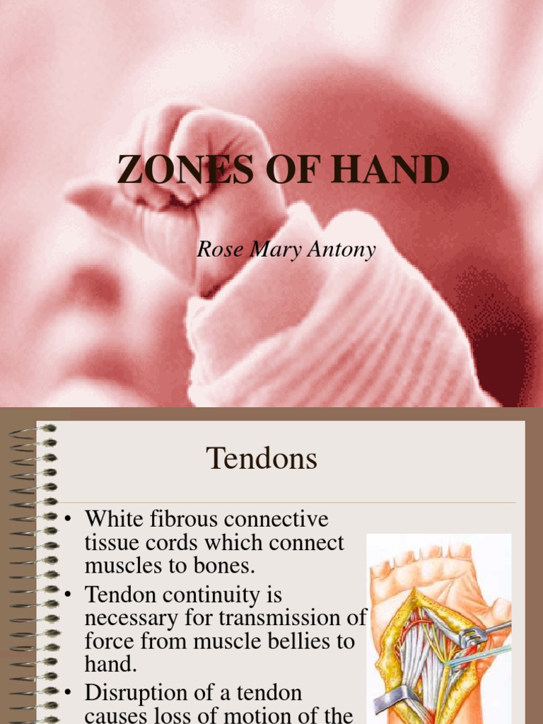 Zones of Hand: Rose Mary Antony | PDF | Finger | Thumb