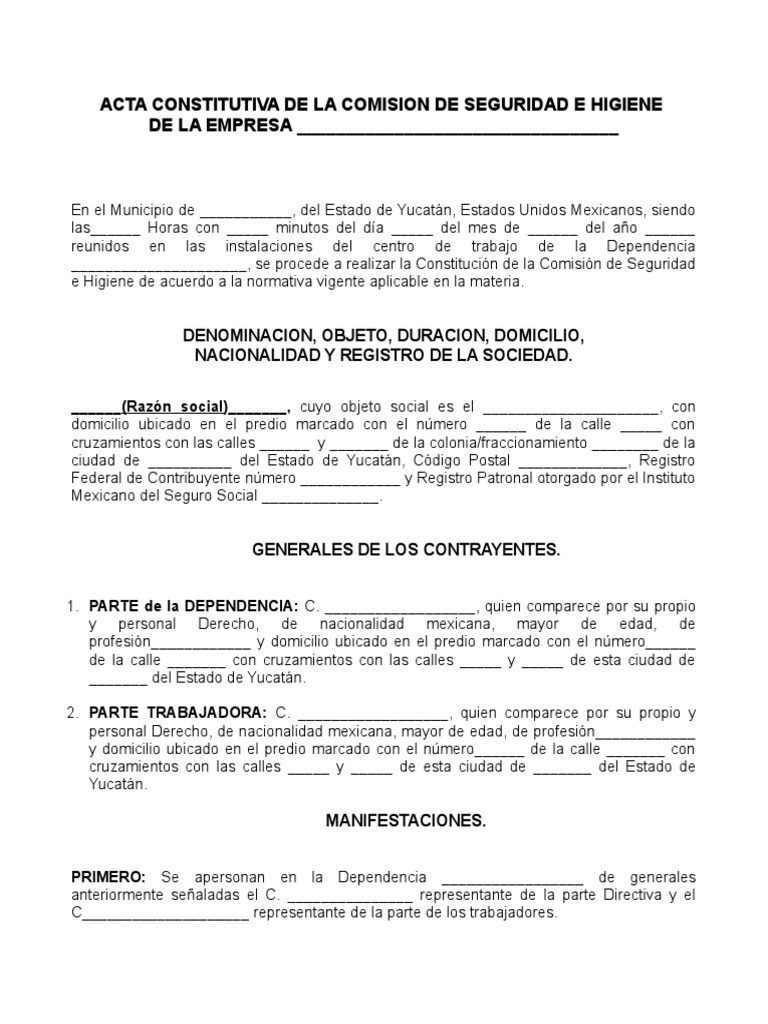 Acta Constitutiva Comision de Seguridad e Higiene | México | Instituciones sociales