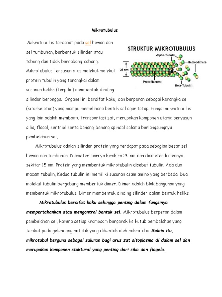 Fungsi Mikrotubulus pada Sel Tumbuhan | PDF | Ilmu Sosial | Kesehatan ...