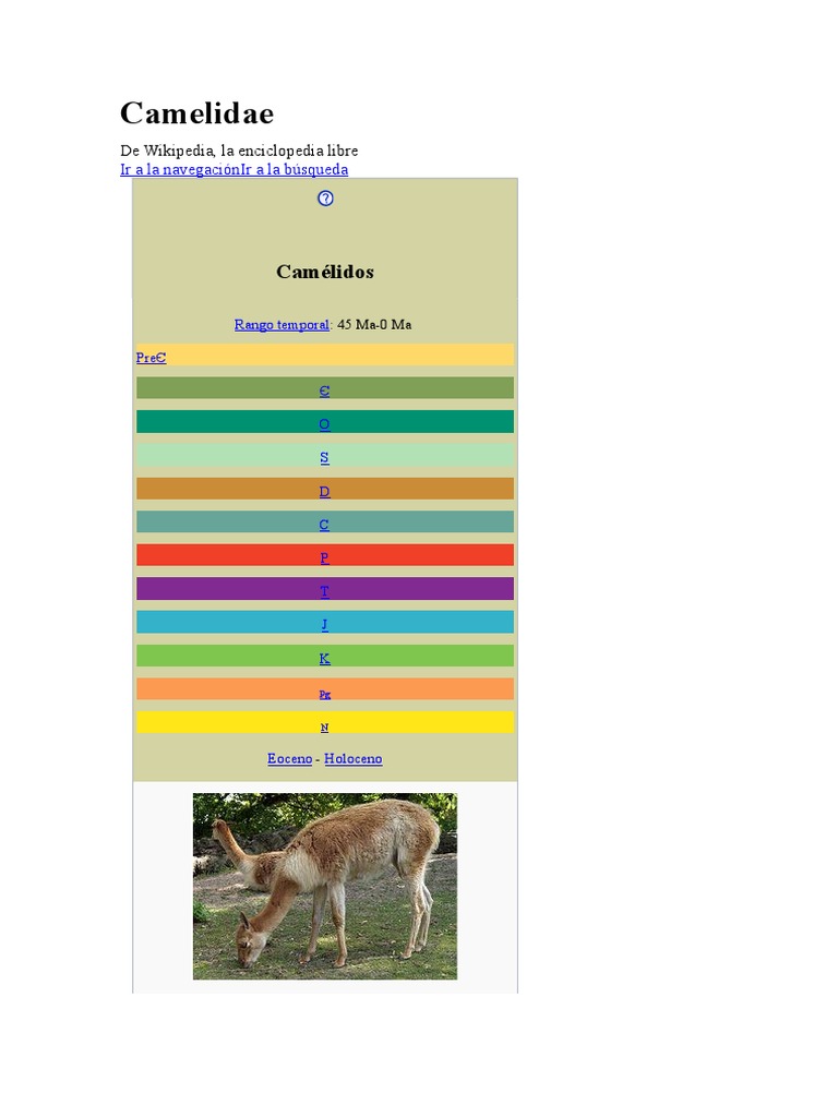 Camelidae SUDAMWERICANOS | PDF | Incluso los ungulados de dedos ...