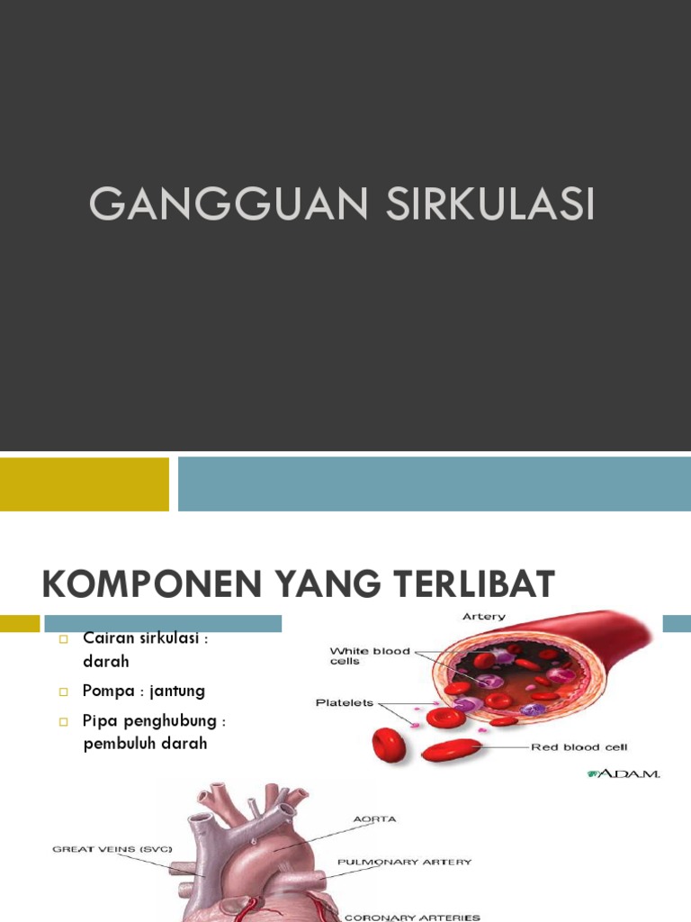 Patofis-Gangguan Sirkulasi | PDF | Perjalanan | Seni