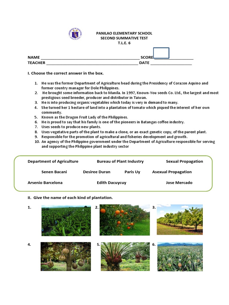 TLE 6 Agriculture Second Summative Test | PDF | Plants | Agronomy