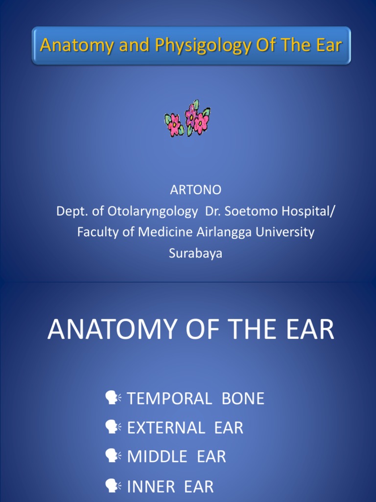 Anatomy and Physiology of the Ear | PDF | Ear | Human Nose