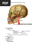 Itsmo de Las Fauces | PDF | Sistema musculoesquelético | Anatomía