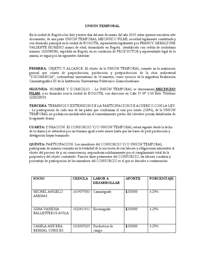 Unión Temporal | PDF