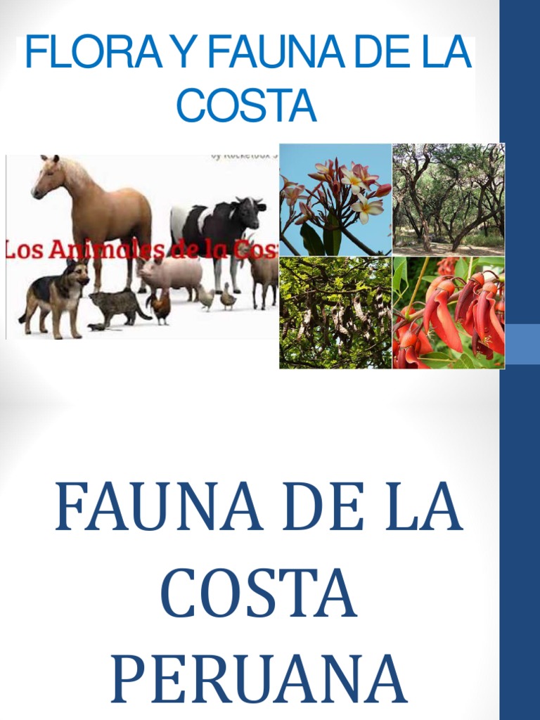 Flora y Fauna de La Costa | PDF