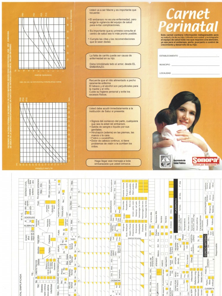 Carnet Perinatal en Color | PDF