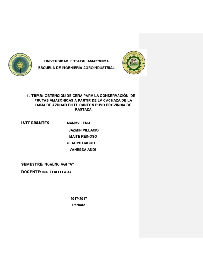 CERA de Cahaza PROYECTOS Correjido | PDF | Azúcar | Dieta y nutrición
