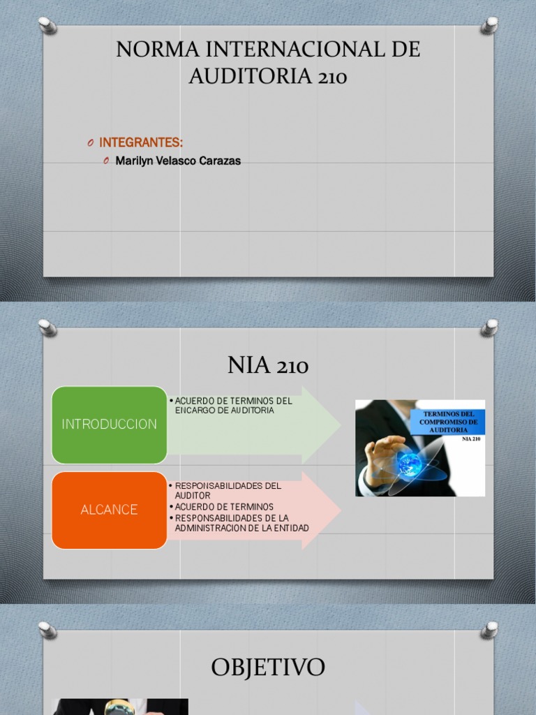 Nia 210 Exposicion | Auditoría | Contralor