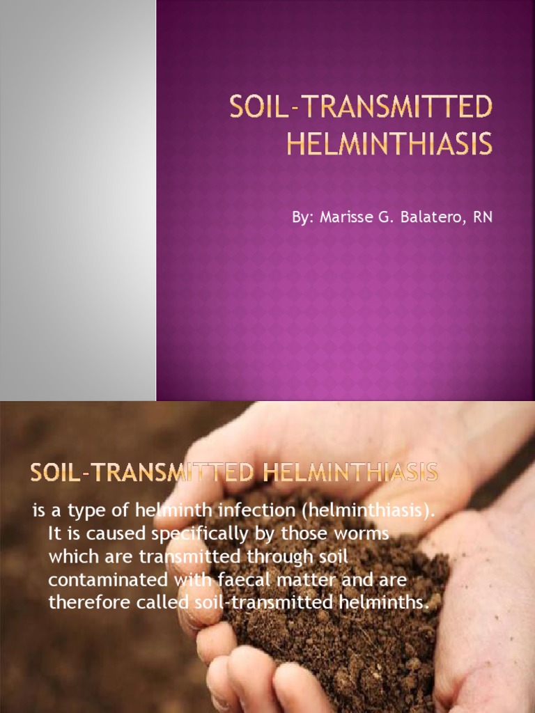 Soil Transmitted Helminthiasis | PDF | Microbiology | Parasitology