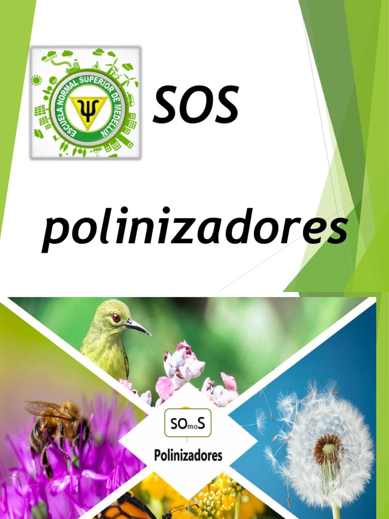 SOS Polinizadores | PDF | Modificación de comportamiento | Aprendizaje