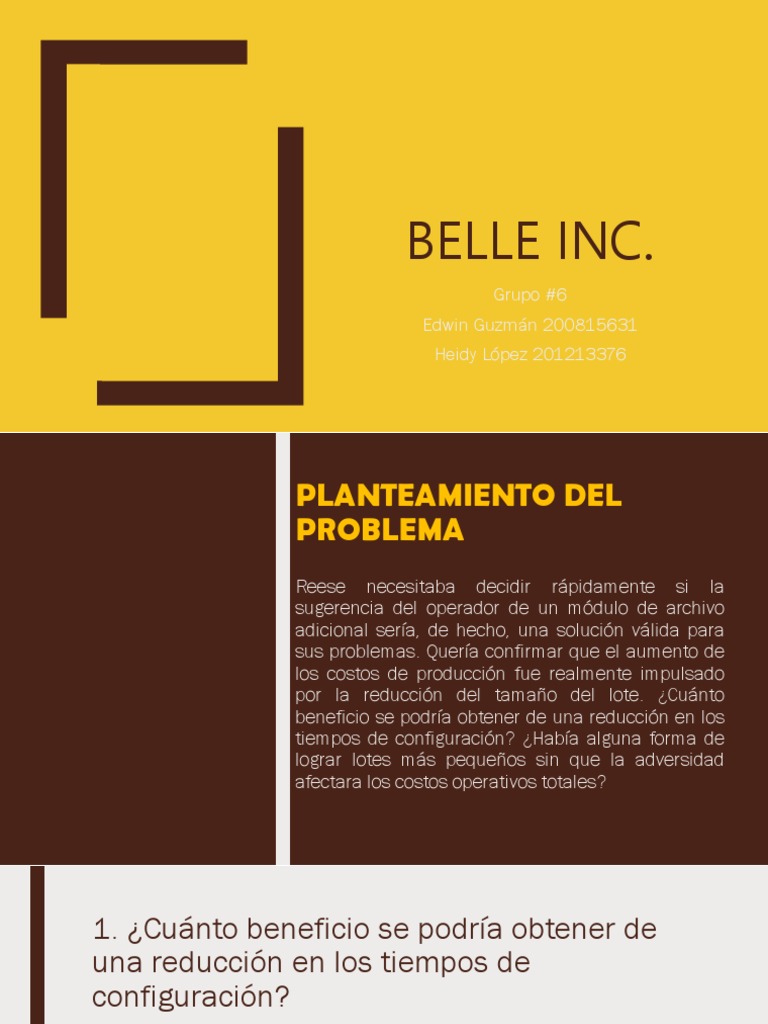 Belle Inc | PDF