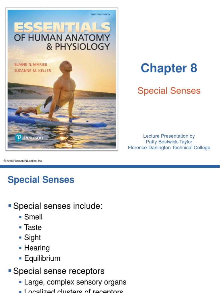 AnaPhy 8-Special Senses | PDF | Ear | Taste