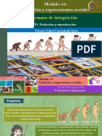 Módulo 17 Proyecto Integrador | PDF