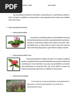 Halamang Dahon | PDF