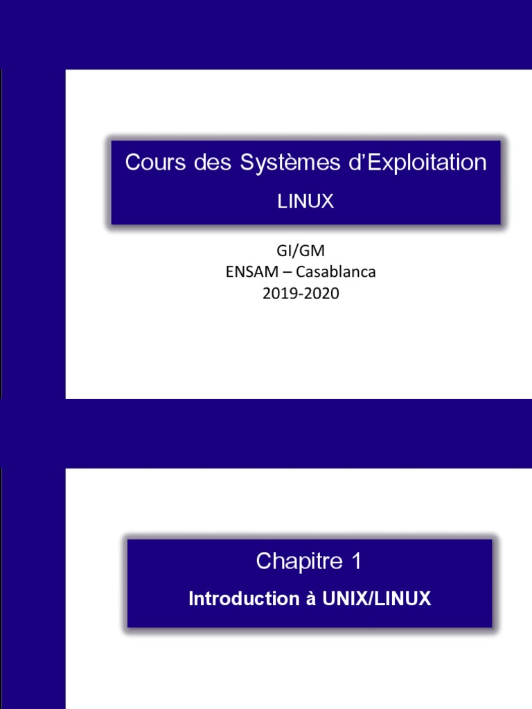 Systèmes D'exploitation - Chap 1 - Introduction UNIX - LINUX | PDF | Unix | Interface système