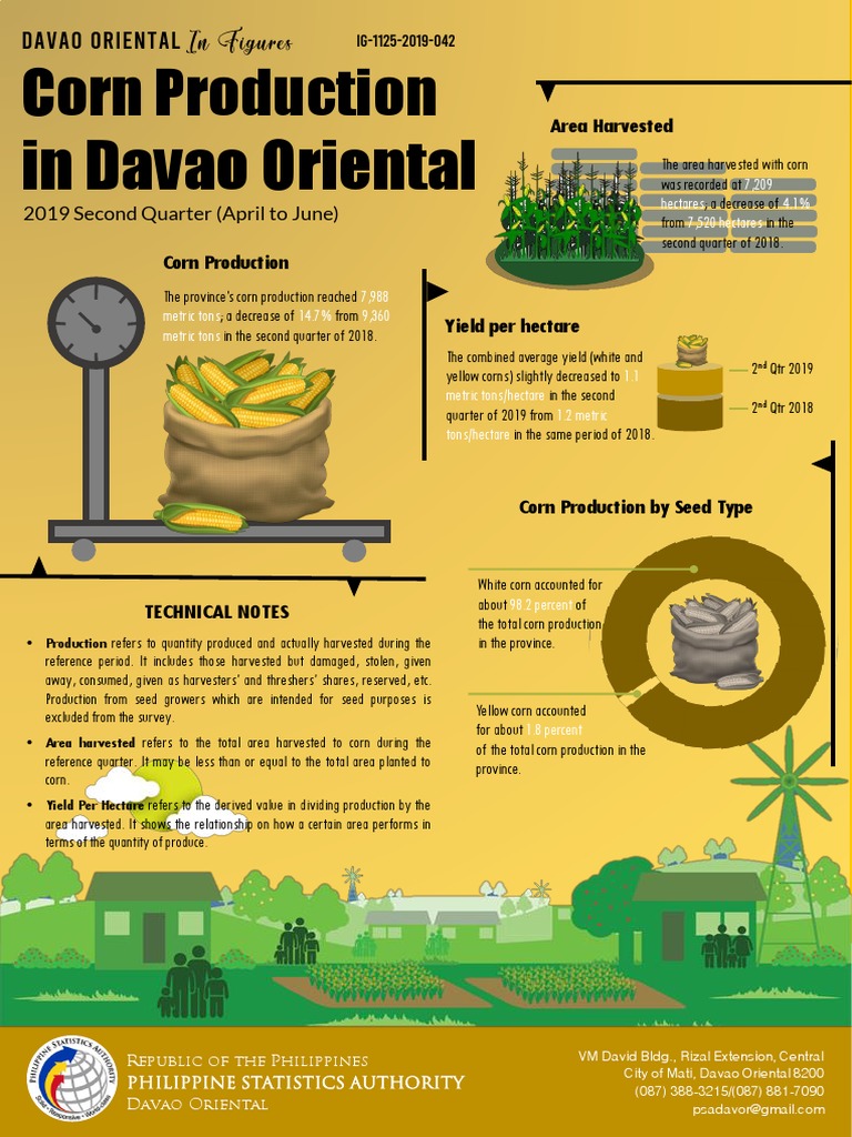 IG 1125-2019-042 - 2019 Second Quarter Corn Production in Davao ...