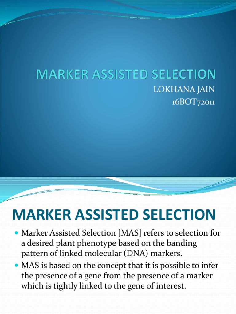 Marker Assisted Selection Pdf Genetic Marker Plant Breeding