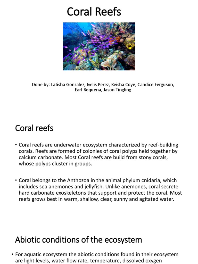 Coral Reef Final Presentation-Final | PDF | Coral Reef | Conservation ...